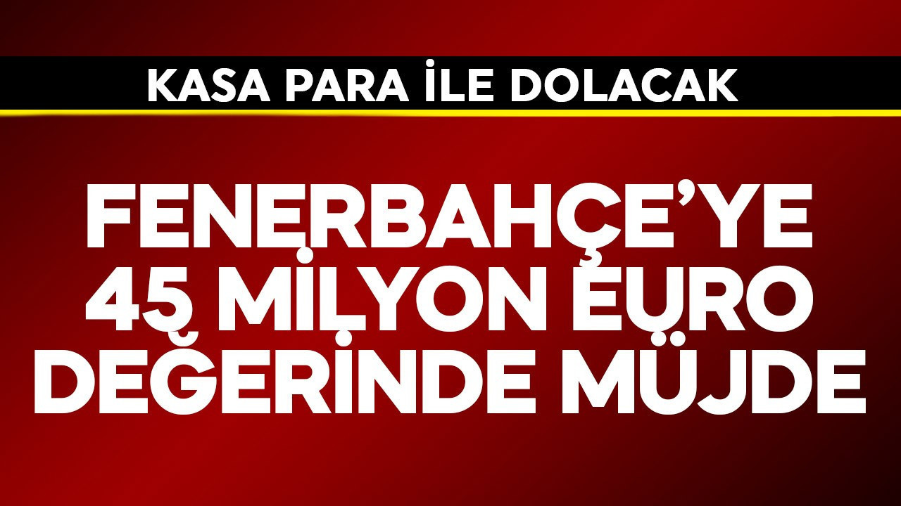 Fenerbahçe'ye 45 milyon euroluk müjde! Kasa para dolacak - Spor ...